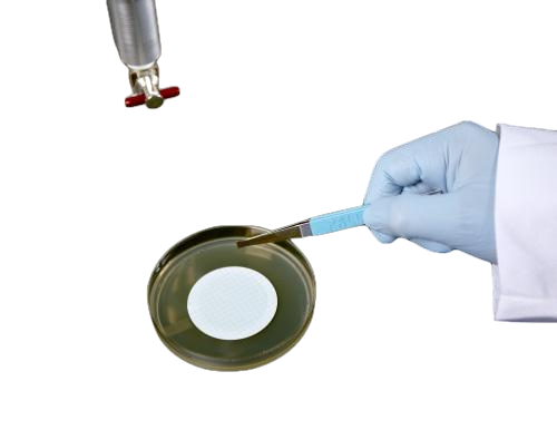 Pall Forceps, Stainless Steel w/ Black Grips, 1/Pk | Tisch Scientific