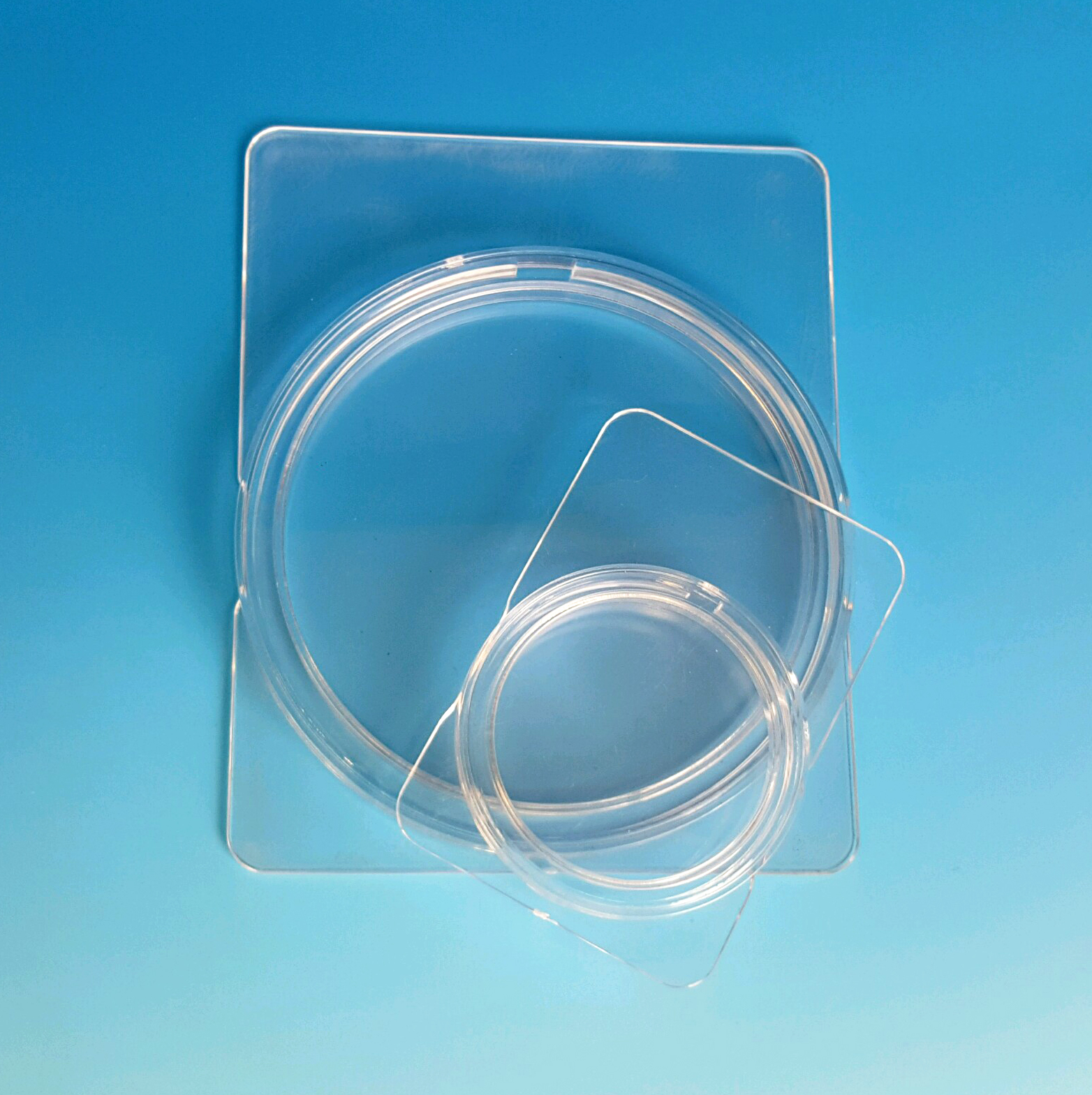 90mm Petri Slide Dish 200/pk, SPEC20013